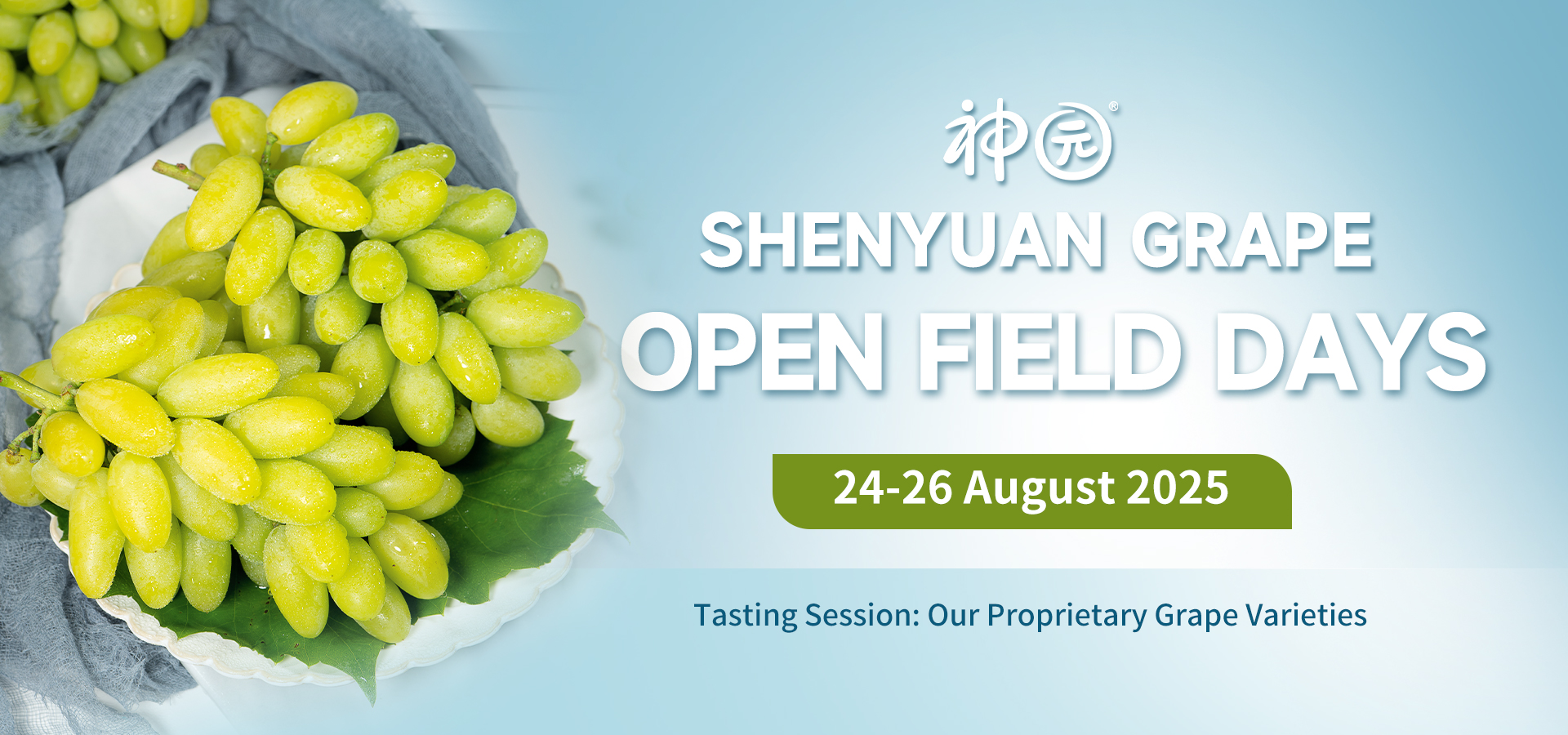 China to Debut Next-Generation Grapes - ZhangJiaGang ShenYuan Grape ...